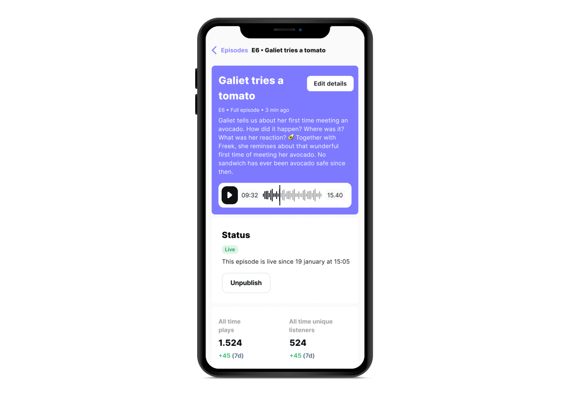 Case study Riverside.fm: A full-fledged platform for working with ...